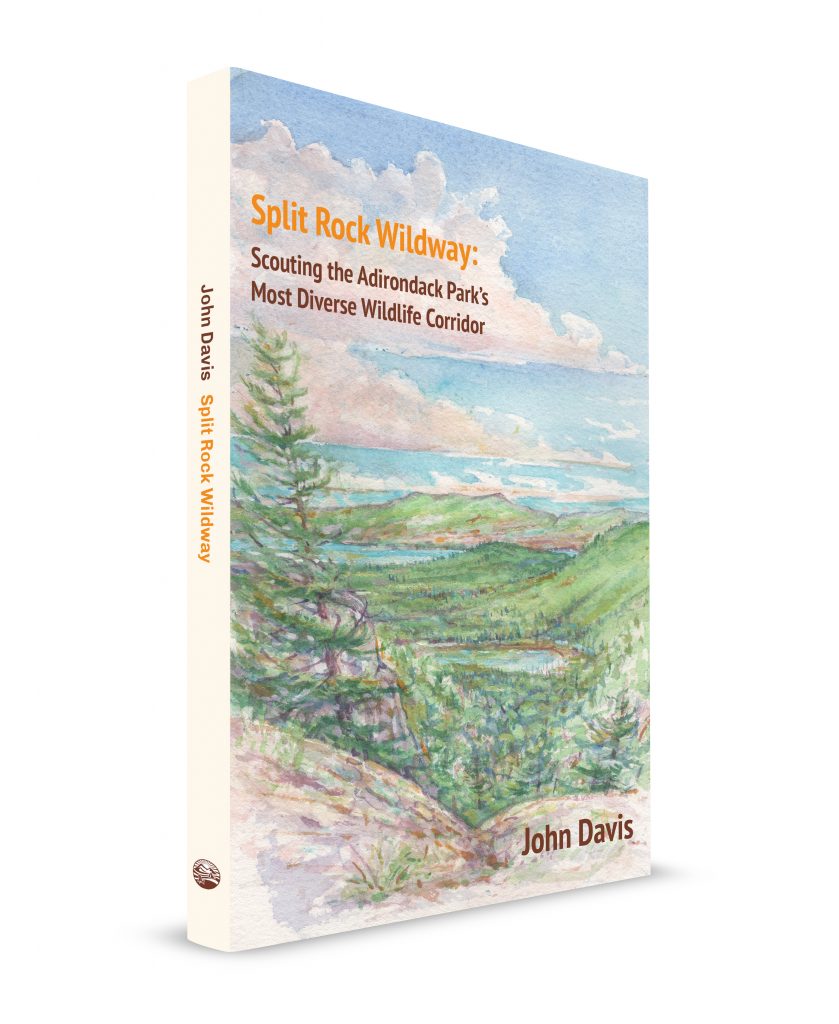 Split Rock Wildway Archives - Essex Editions